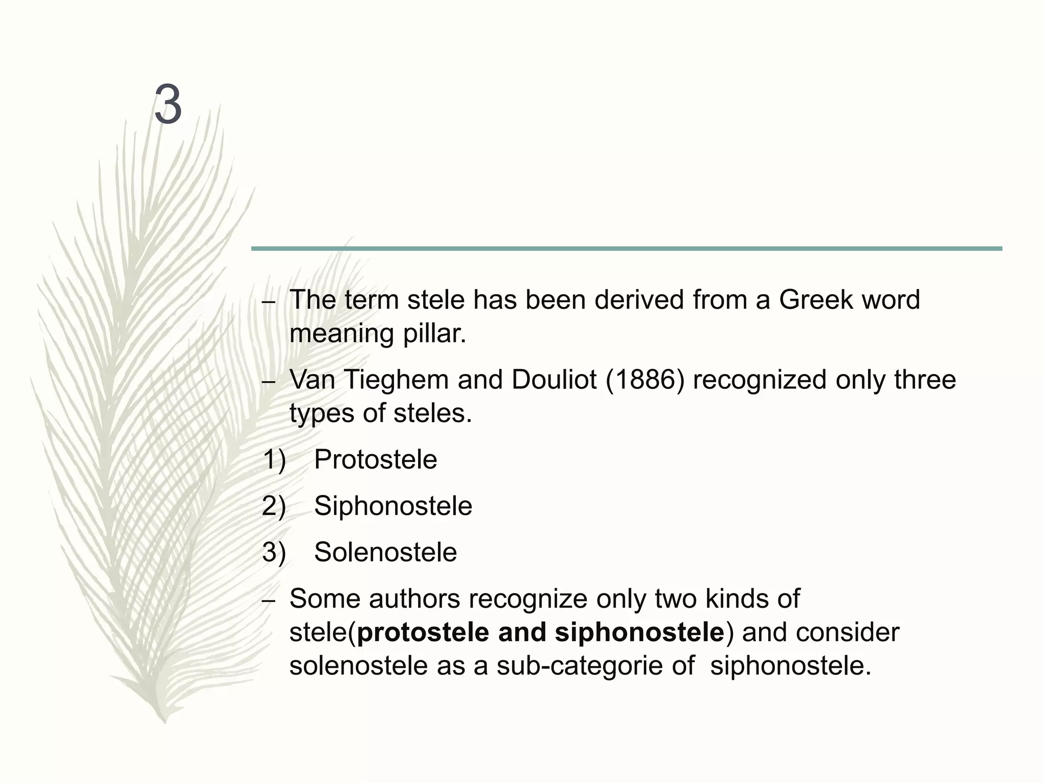 Stelar System, Stele, its types and evolution(edited) | PPTX