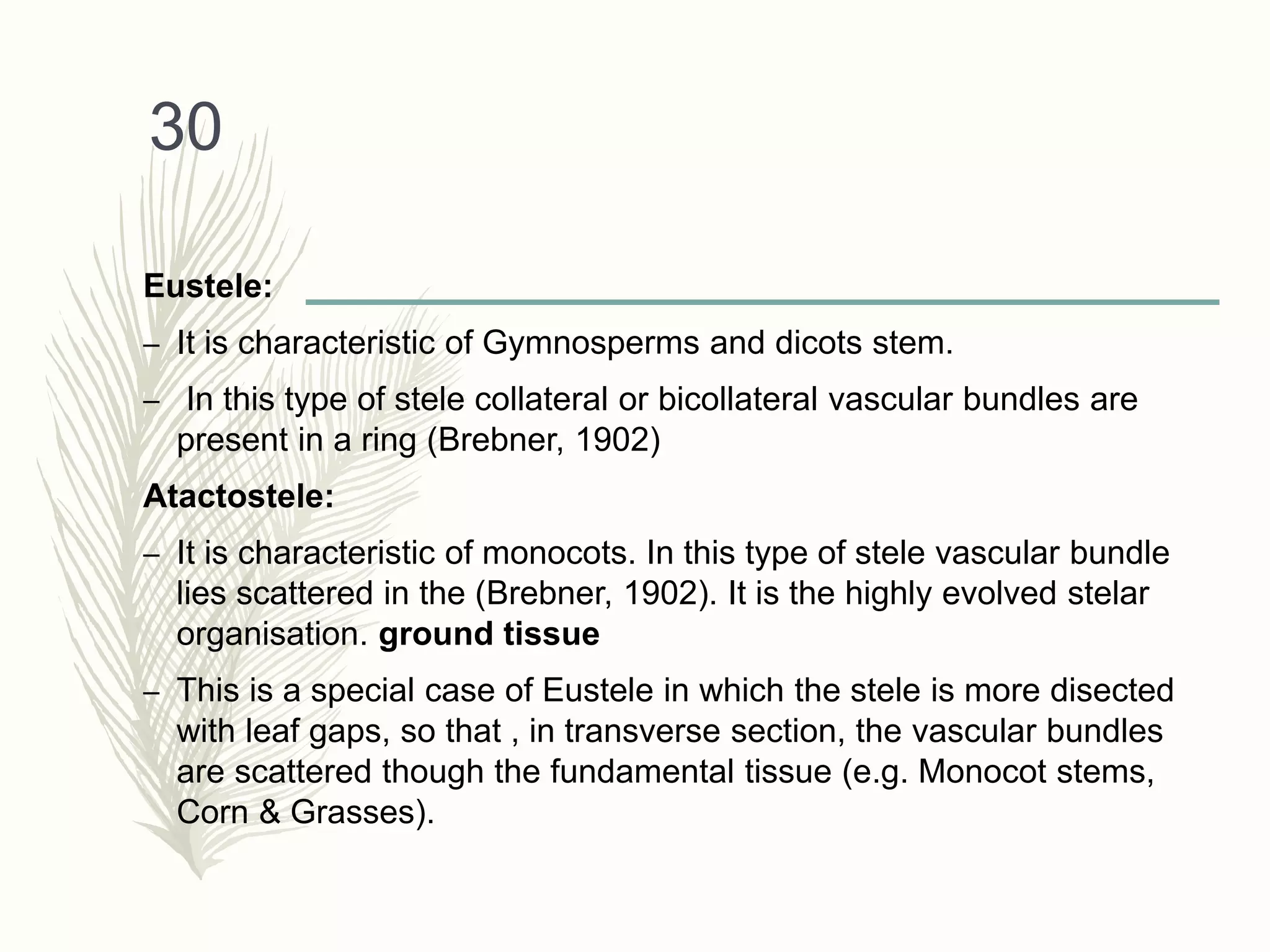 Stelar System, Stele, its types and evolution(edited) | PPT