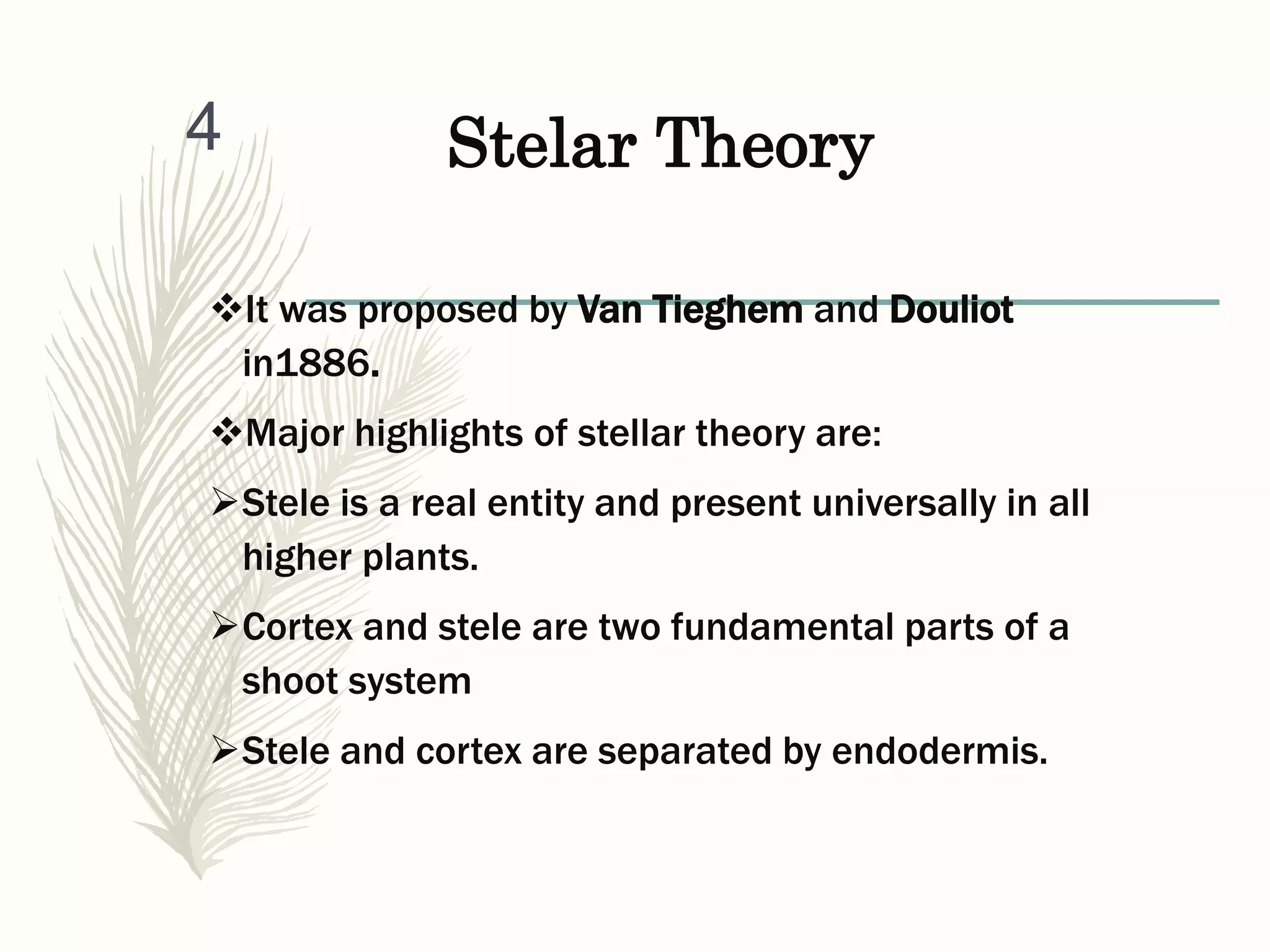 Stelar System, Stele, its types and evolution(edited) | PPTX
