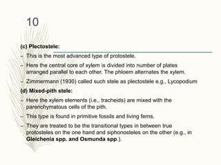 Stelar System, Stele, its types and evolution(edited) | PPT