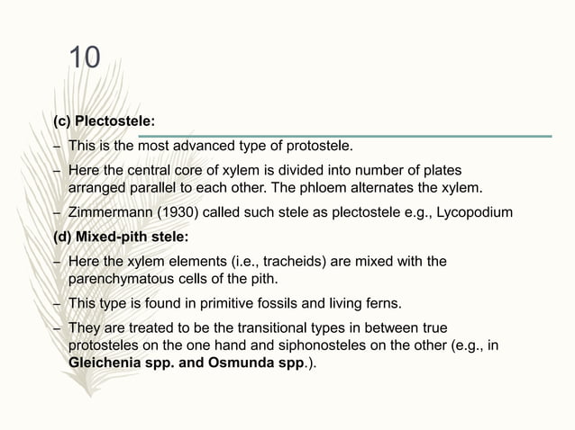 Stelar System, Stele, its types and evolution(edited) | PPT