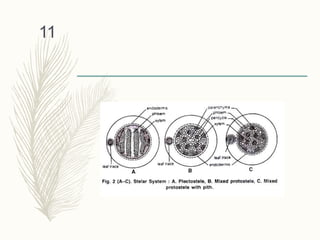 Stelar System, Stele, its types and evolution(edited) | PPT