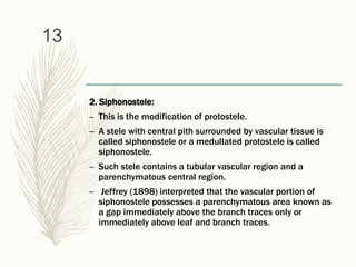 Stelar System, Stele, its types and evolution(edited) | PPT
