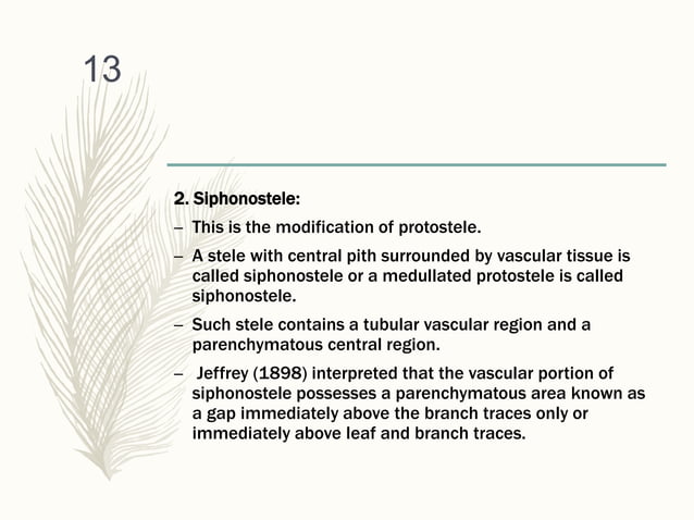 Stelar System, Stele, its types and evolution(edited) | PPT