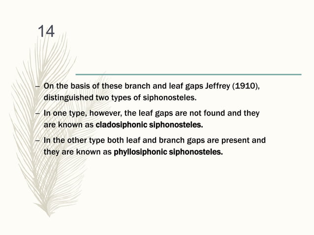 Stelar System, Stele, its types and evolution(edited) | PPT