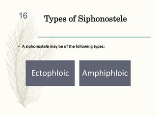 Stelar System, Stele, its types and evolution(edited) | PPT