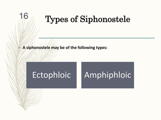 Stelar System, Stele, its types and evolution(edited) | PPT