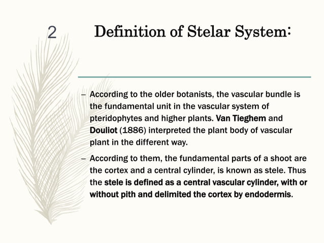 Stelar System, Stele, its types and evolution(edited) | PPT