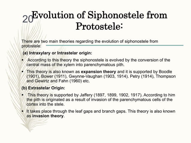Stelar System, Stele, its types and evolution(edited) | PPT