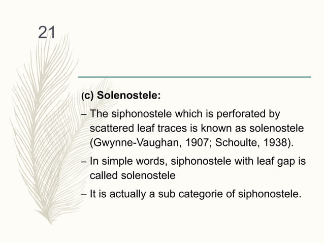 Stelar System, Stele, its types and evolution(edited) | PPT