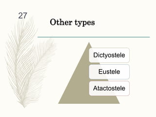 Stelar System, Stele, its types and evolution(edited) | PPT