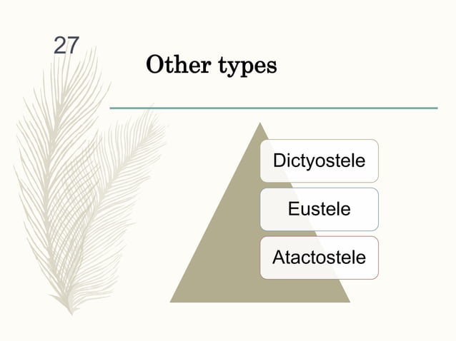 Stelar System, Stele, its types and evolution(edited) | PPT
