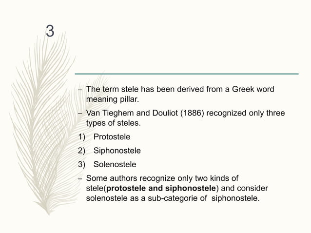 Stelar System, Stele, its types and evolution(edited) | PPT