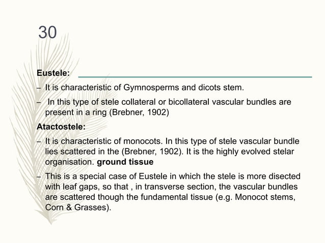 Stelar System, Stele, its types and evolution(edited) | PPT