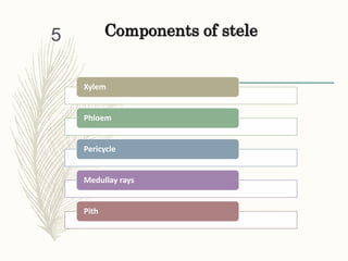 Stelar System, Stele, its types and evolution(edited) | PPT