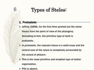 Stelar System, Stele, its types and evolution(edited) | PPT