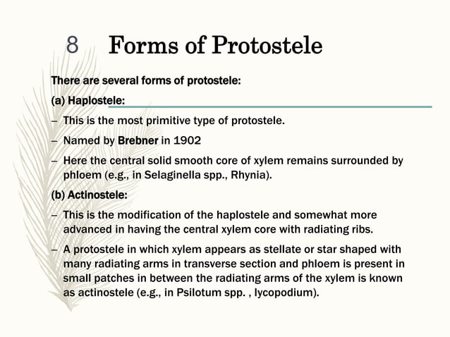 Stelar System, Stele, its types and evolution(edited) | PPT