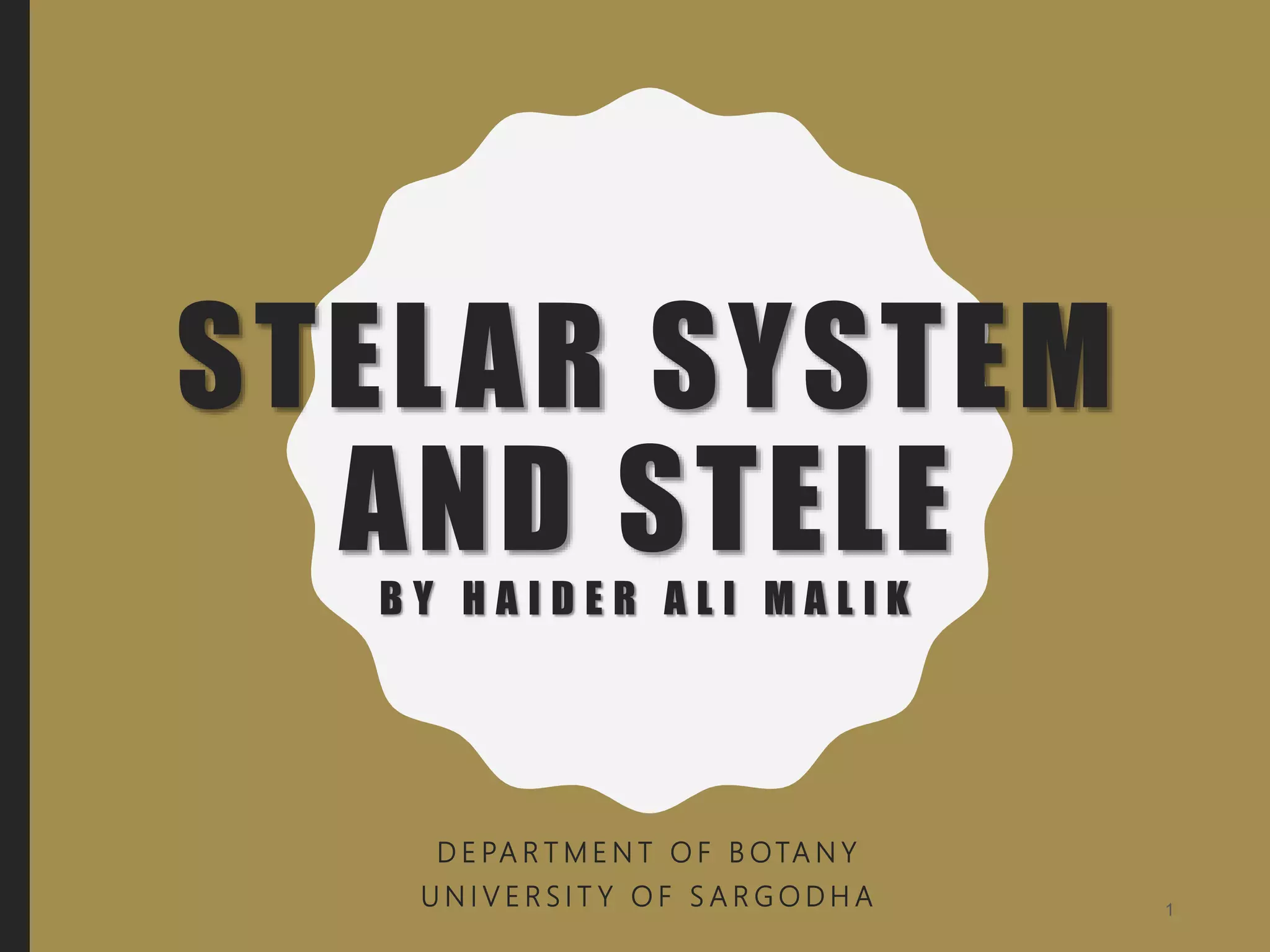 Stelar System, Stele, its types and evolution | PPTX