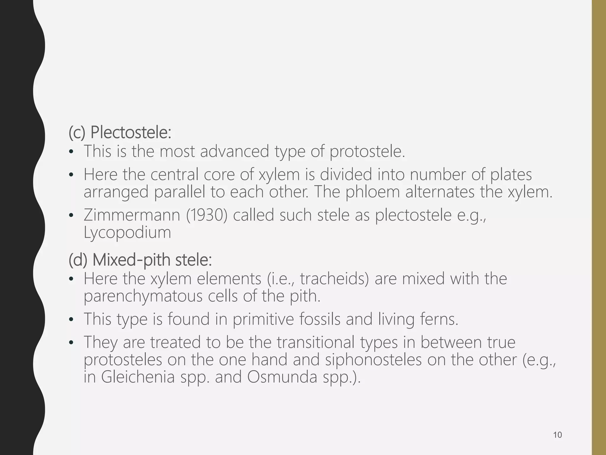 Stelar System, Stele, its types and evolution | PPTX