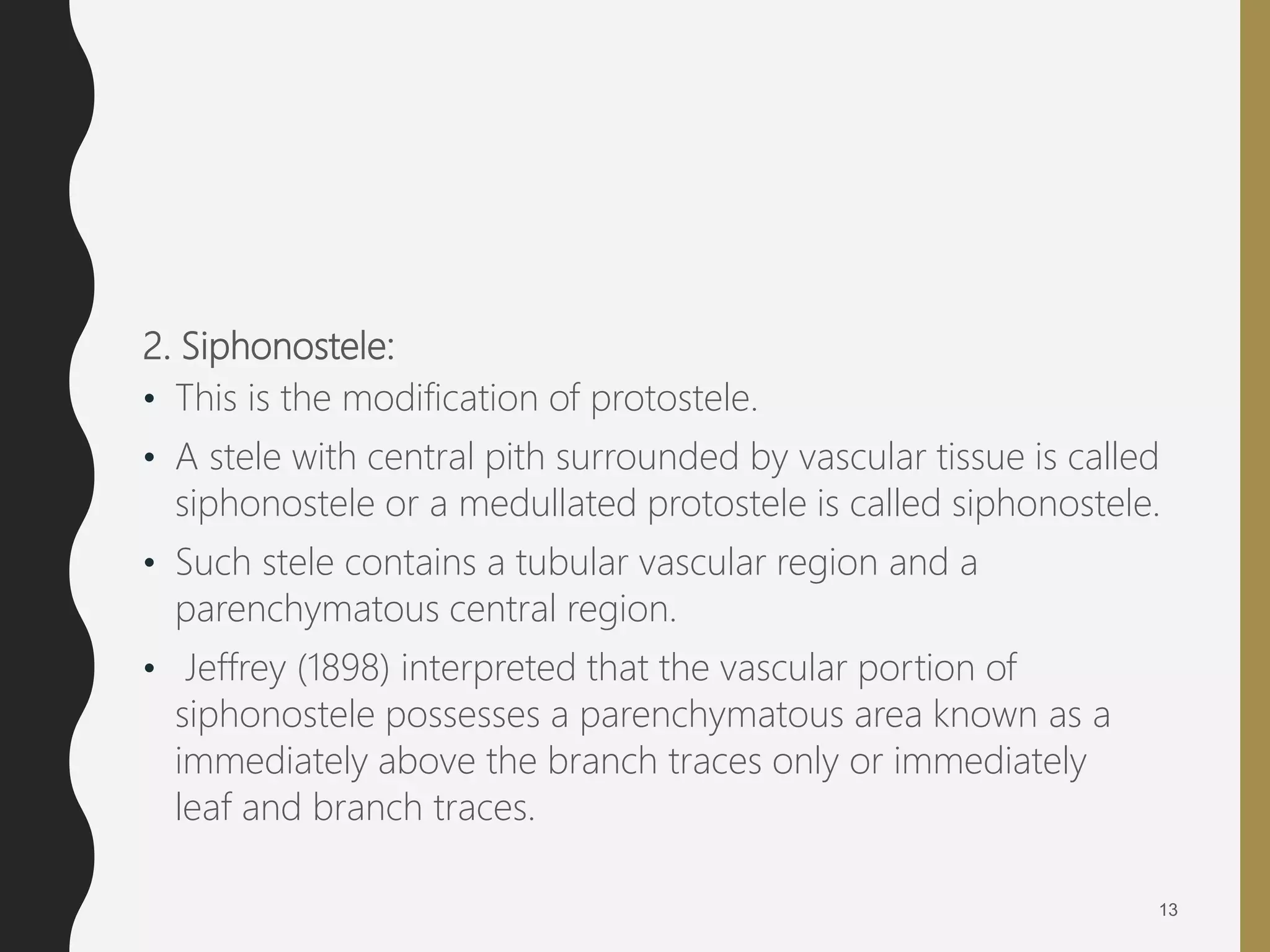 Stelar System, Stele, its types and evolution | PPTX