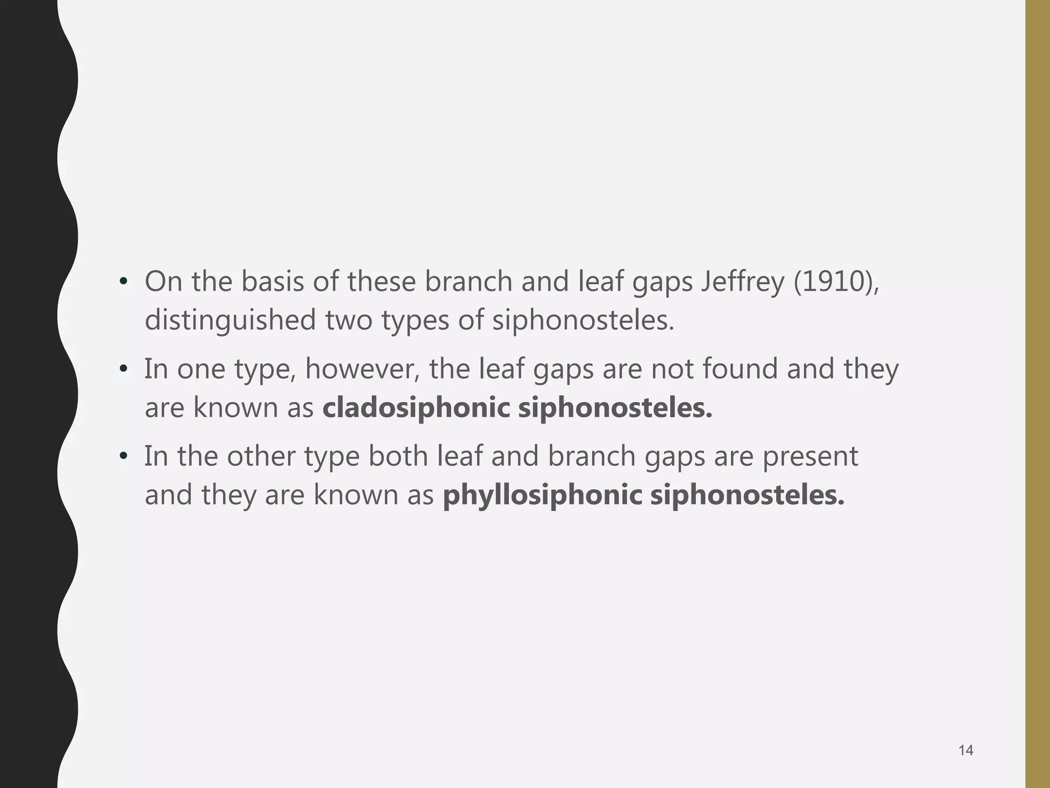 Stelar System, Stele, its types and evolution | PPTX