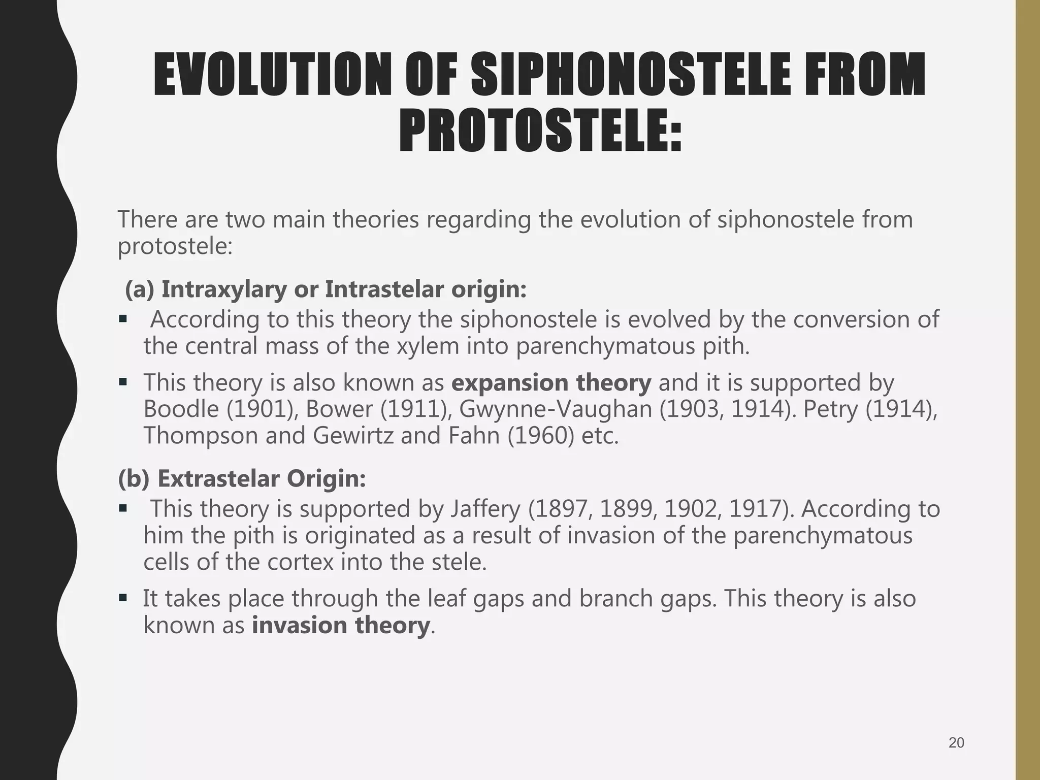 Stelar System, Stele, its types and evolution | PPTX