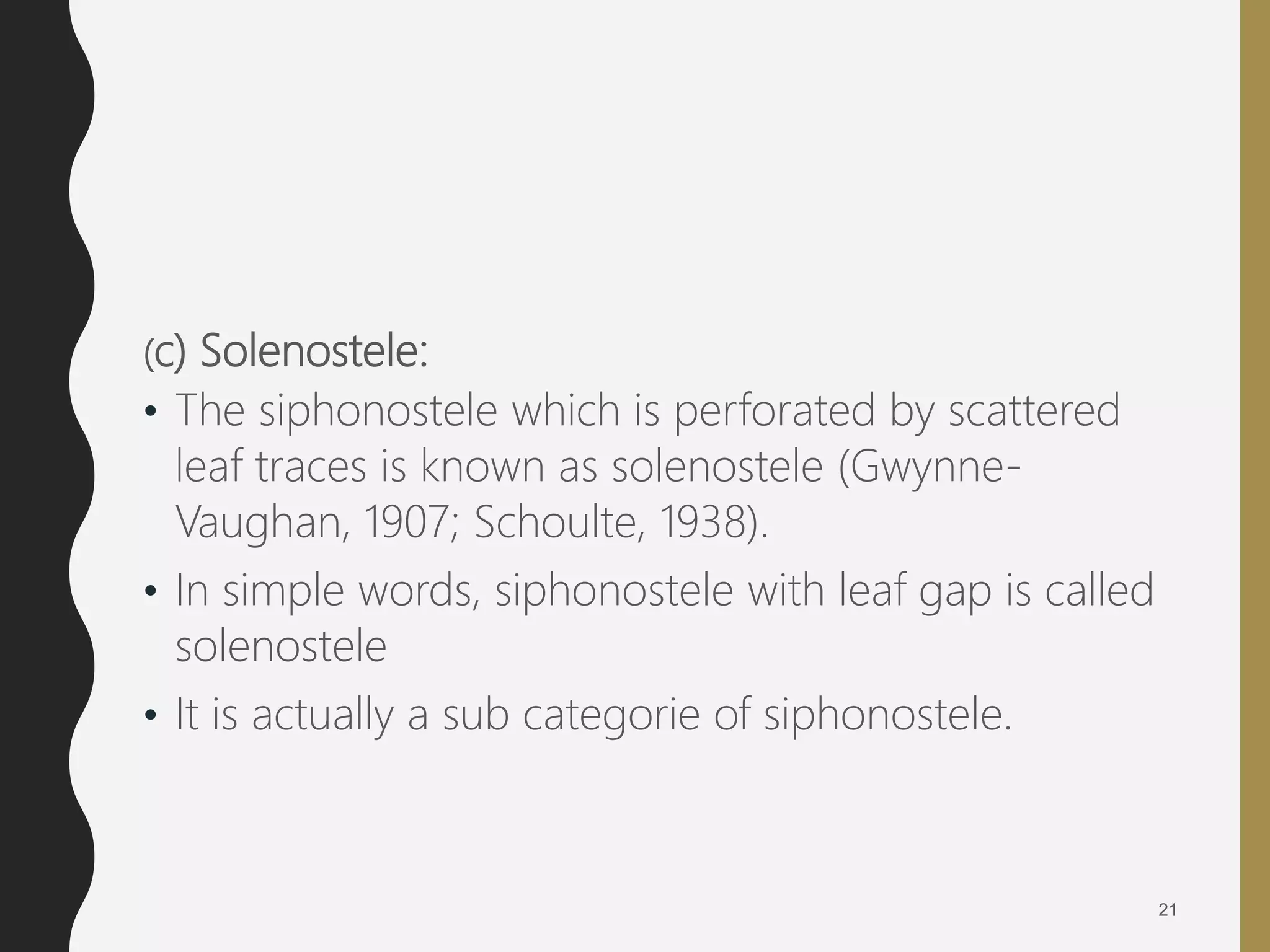 Stelar System, Stele, its types and evolution | PPTX