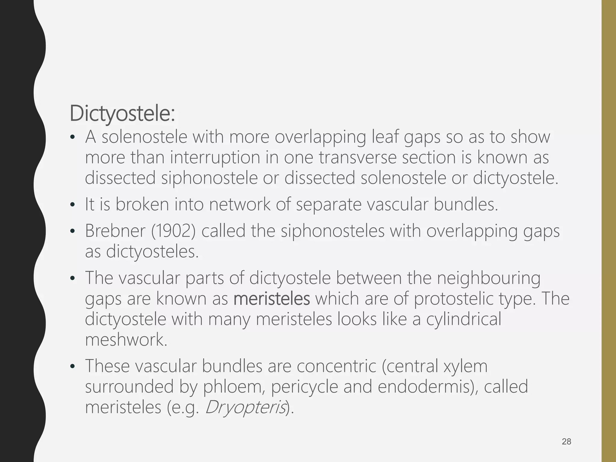 Stelar System, Stele, its types and evolution | PPTX