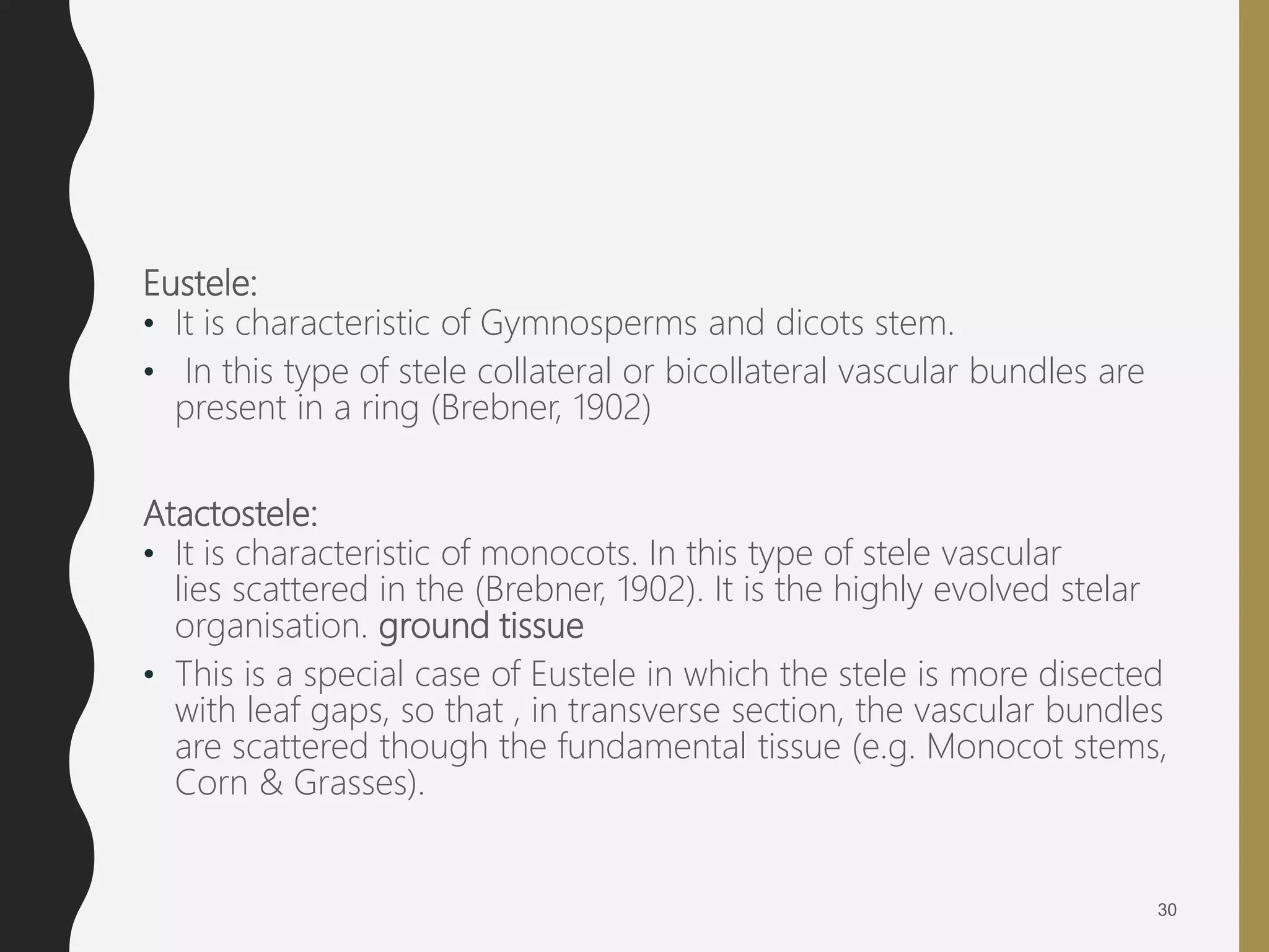 Stelar System, Stele, its types and evolution | PPTX
