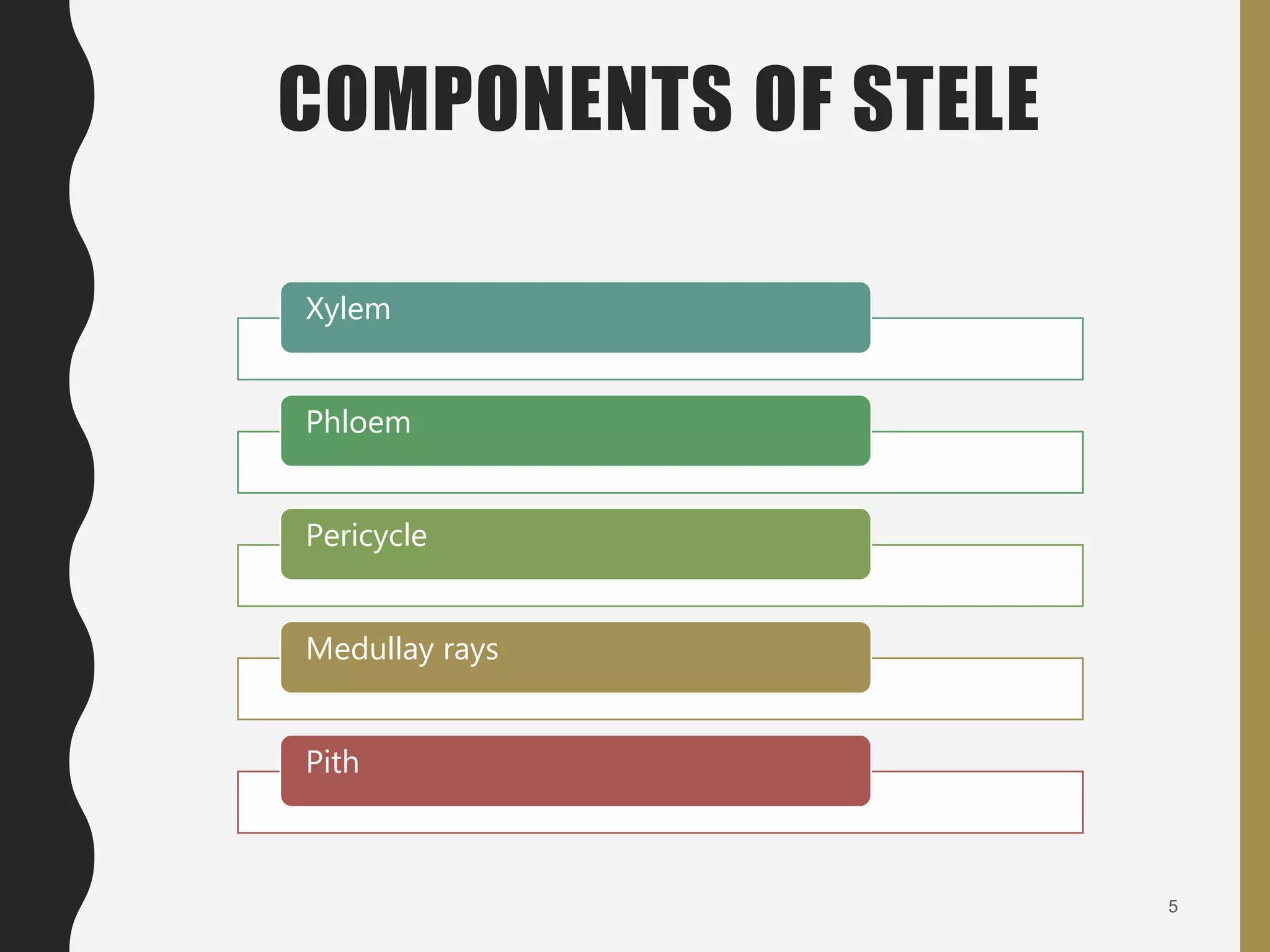Stelar System, Stele, its types and evolution | PPTX