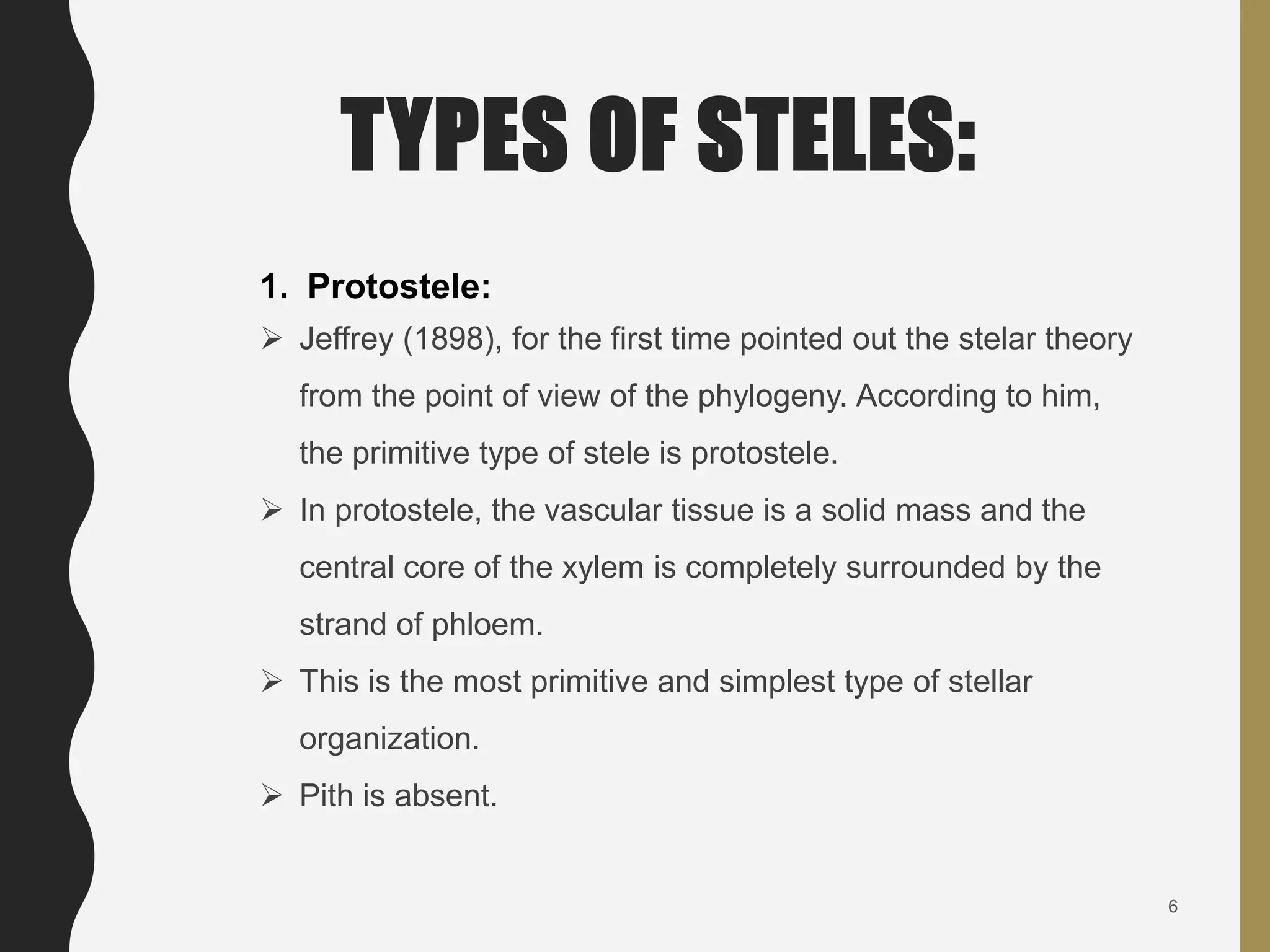 Stelar System, Stele, its types and evolution | PPTX