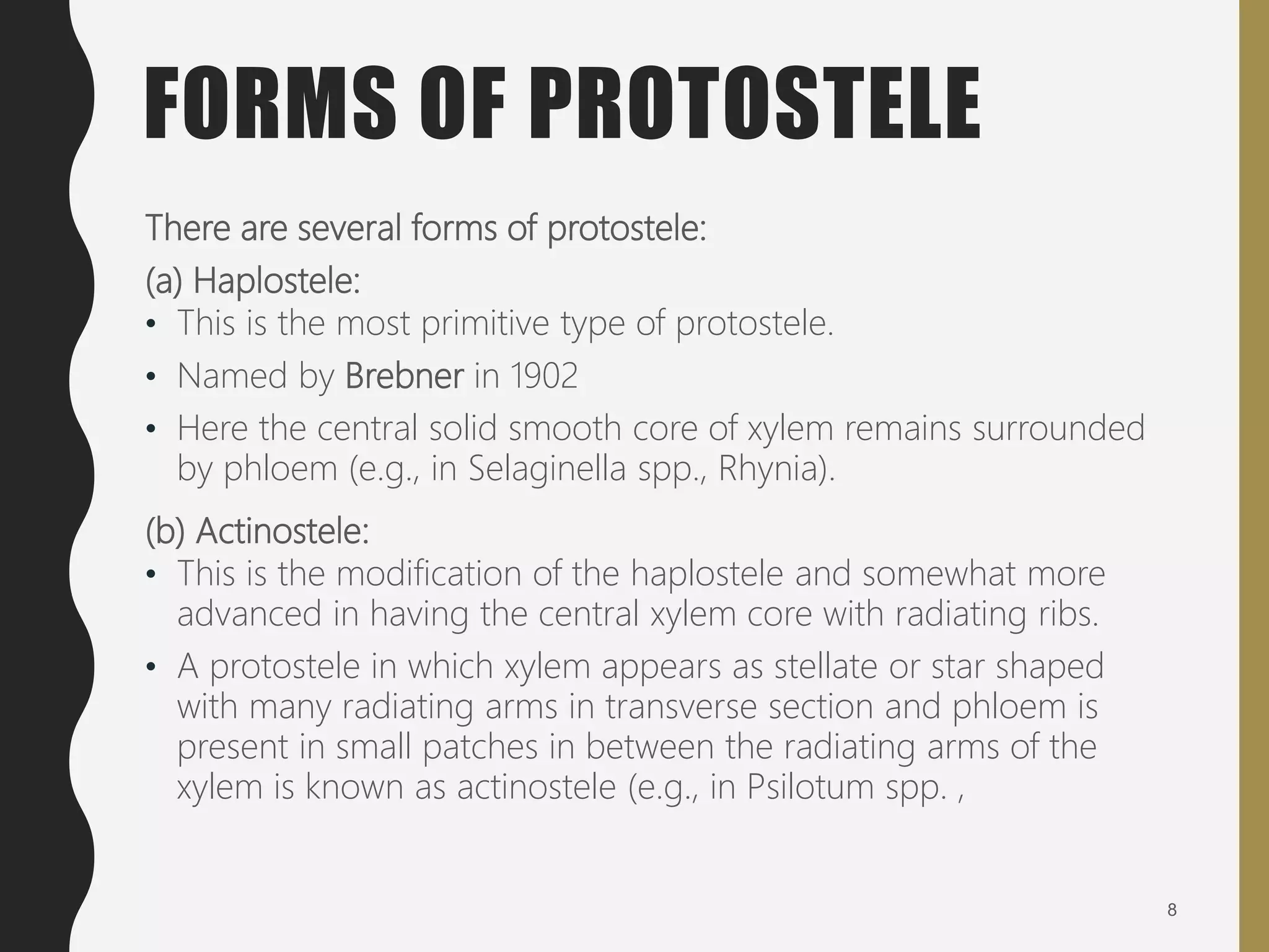 Stelar System, Stele, its types and evolution | PPTX