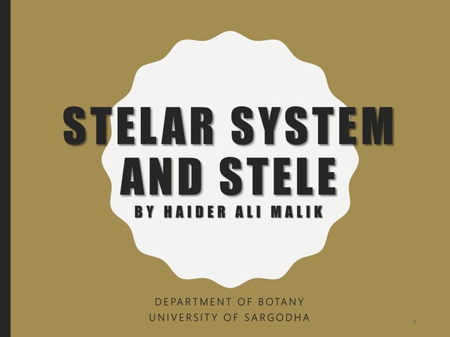 Stelar System, Stele, its types and evolution | PPTX