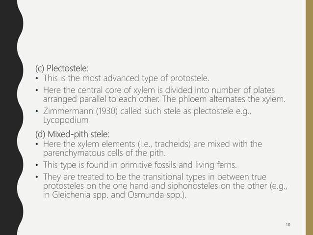 Stelar System, Stele, its types and evolution | PPTX