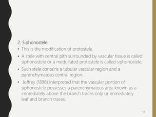Stelar System, Stele, its types and evolution | PPTX