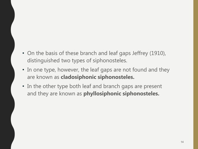 Stelar System, Stele, its types and evolution | PPTX