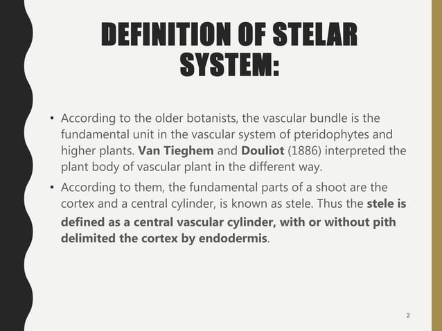 Stelar System, Stele, its types and evolution | PPTX