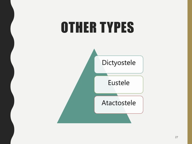 Stelar System, Stele, its types and evolution | PPTX