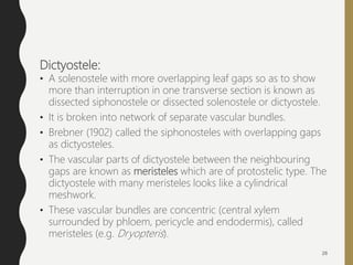 Stelar System, Stele, its types and evolution | PPTX