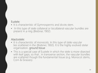 Stelar System, Stele, its types and evolution | PPTX