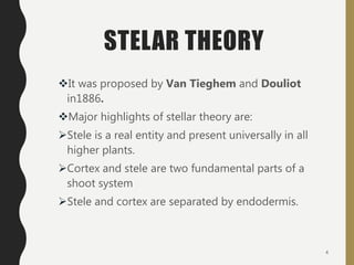 Stelar System, Stele, its types and evolution | PPTX