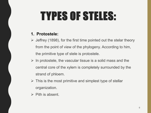 Stelar System, Stele, its types and evolution | PPTX