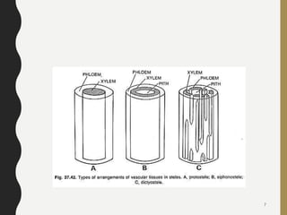 Stelar System, Stele, its types and evolution | PPTX