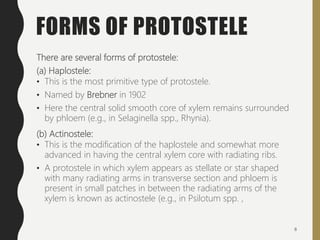 Stelar System, Stele, its types and evolution | PPTX