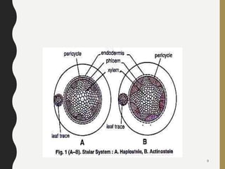 Stelar System, Stele, its types and evolution | PPTX
