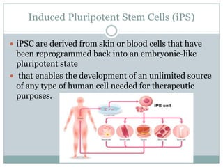 Stem cells | PPTX