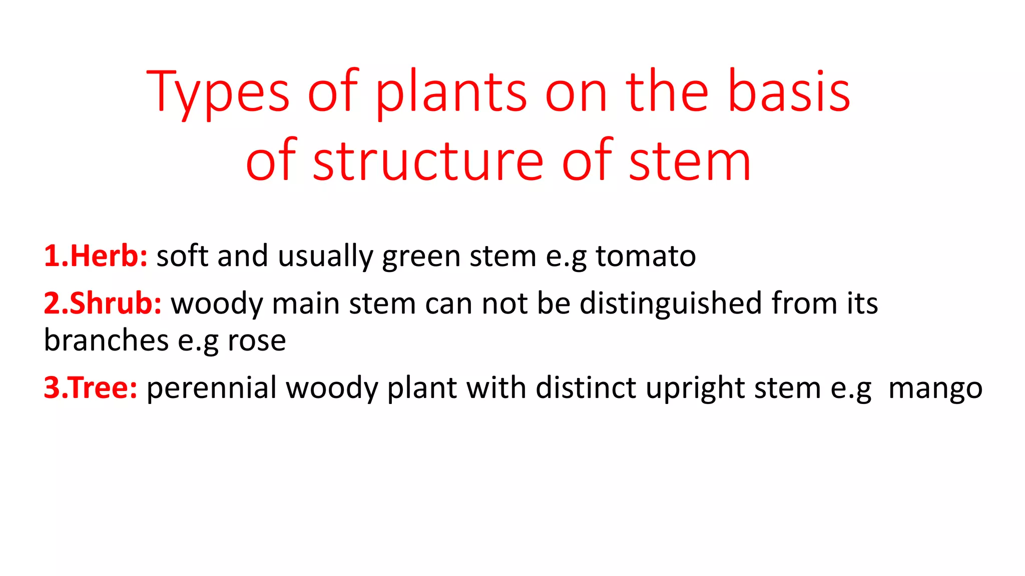 Stem and its types | PPTX | Gardening | Home & Garden