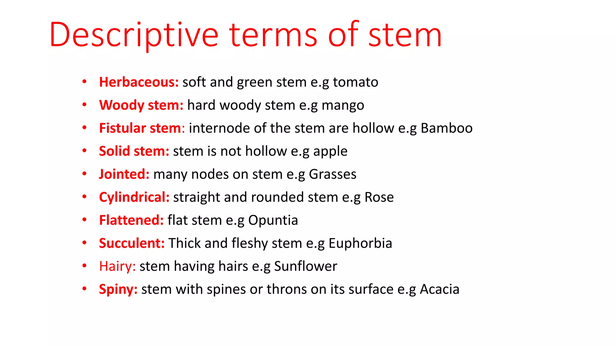 Stem and its types | PPTX