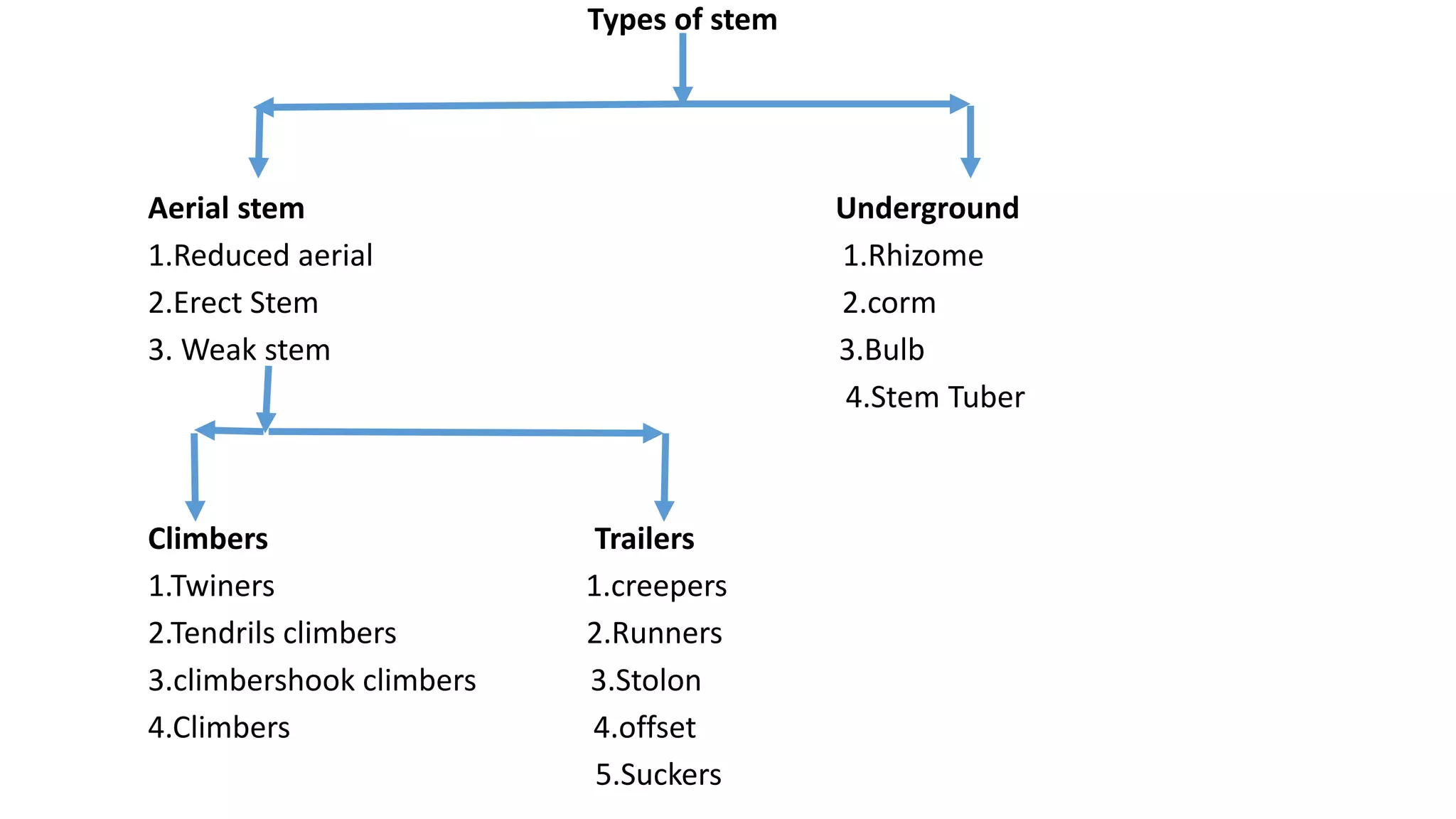 Stem and its types | PPTX