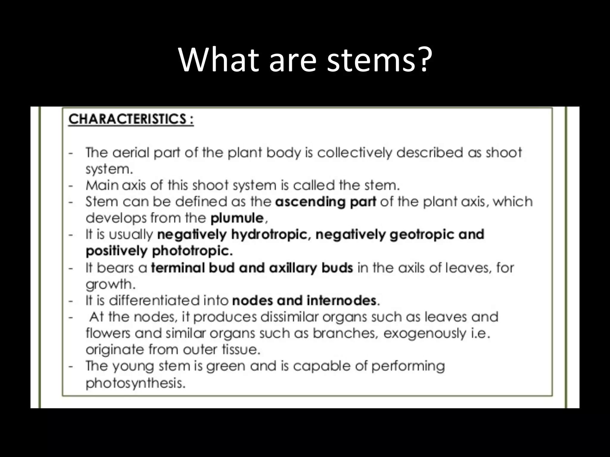 Stem | PDF